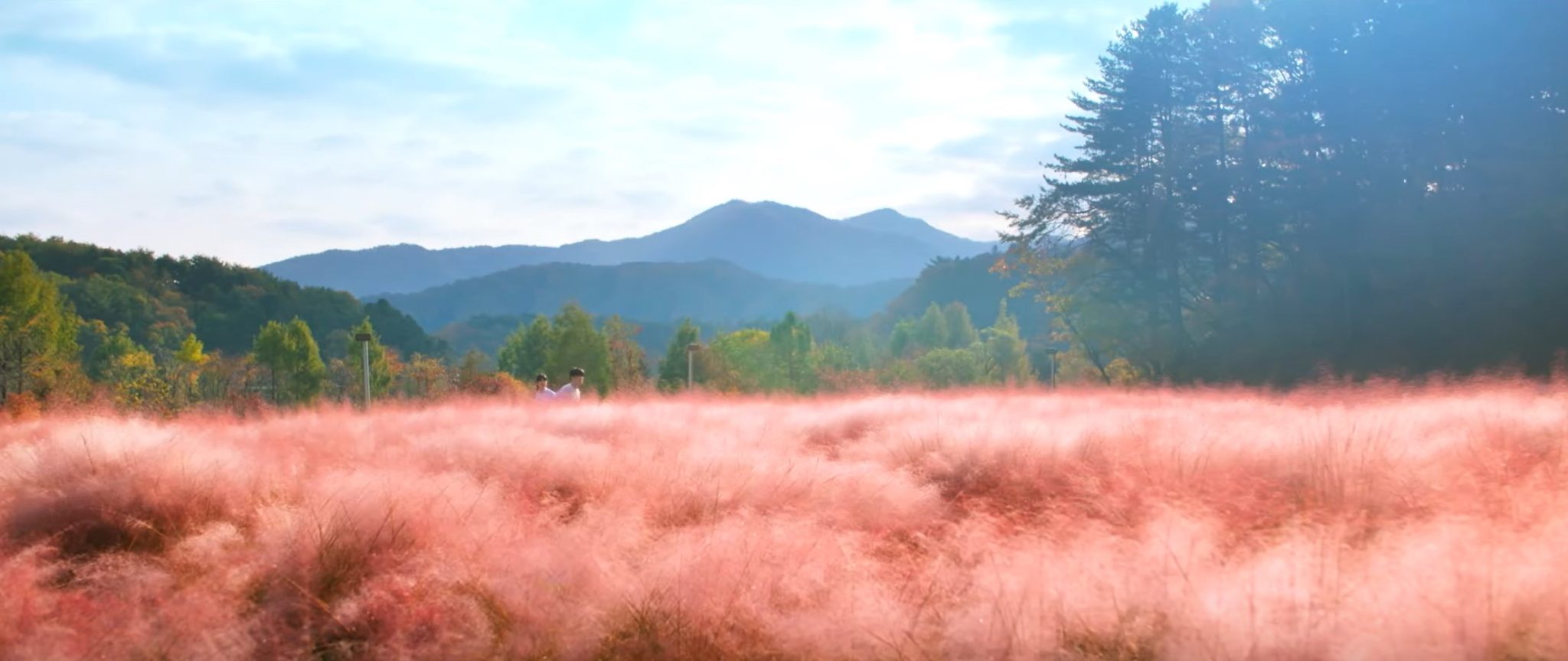 Frolicking in pink fields with Oh Yeon-seo, Ahn Jae-hyun » Dramabeans ...